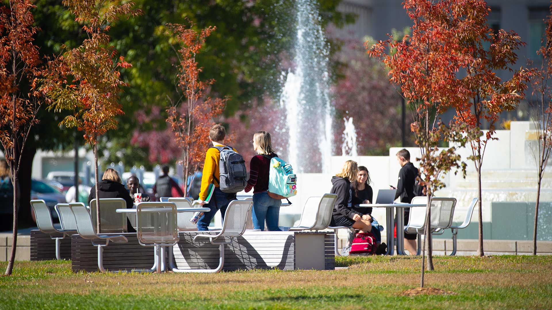 Become a Bear - Freshman Admission - Missouri State