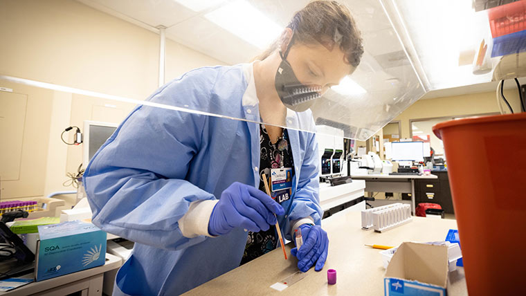 Clinical Laboratory Sciences Undergraduate Program - Biomedical ...