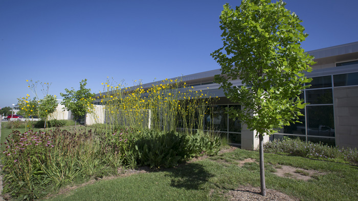 Student Resources - Office of the Registrar - Missouri State